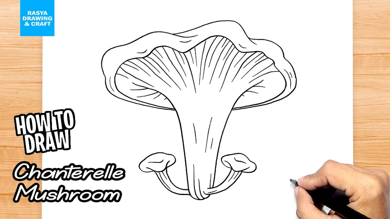 How to draw Chanterelle Mushroom - YouTube