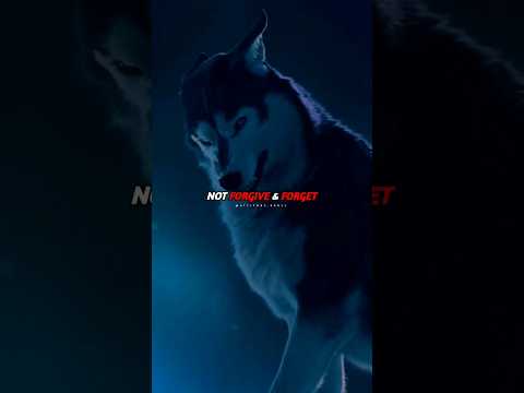 Wolf attitude Status #shortvideo #shorts