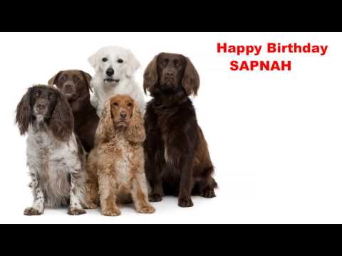 Sapnah   Dogs Perros - Happy Birthday