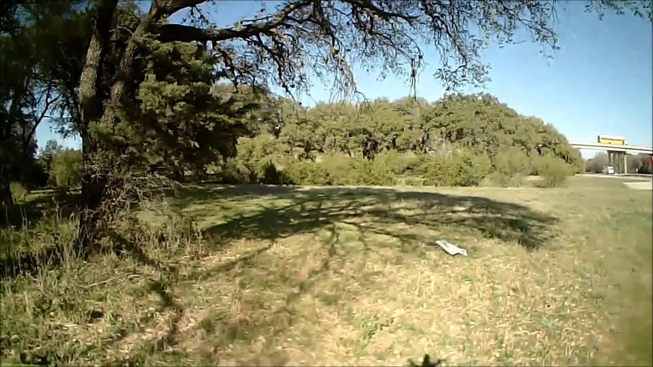 Oak Tree You're in My Way - YouTube