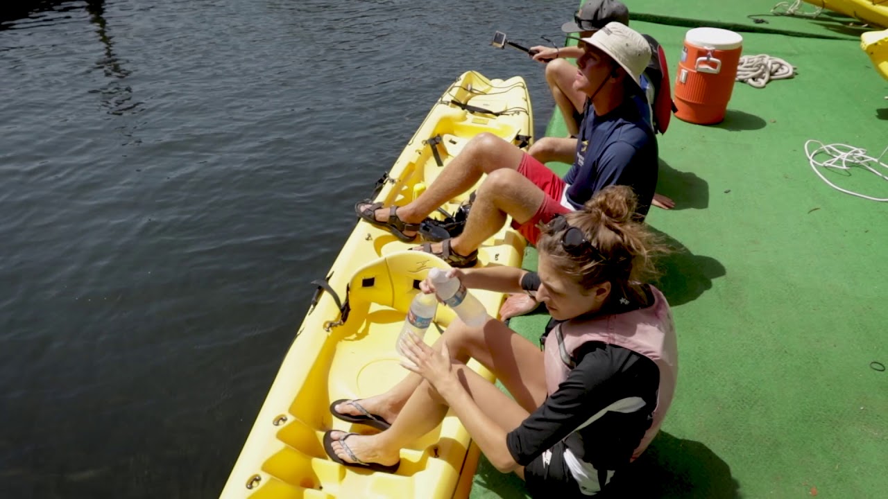 Kayak, Hike and Snorkel at Cas Cay, Charlotte Amalie, St. Thomas - YouTube