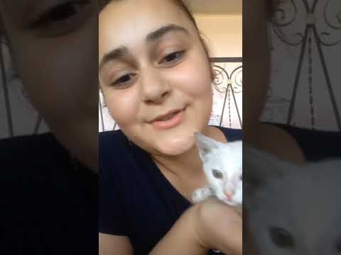 Meni taniyin. ❤️😘😘😻