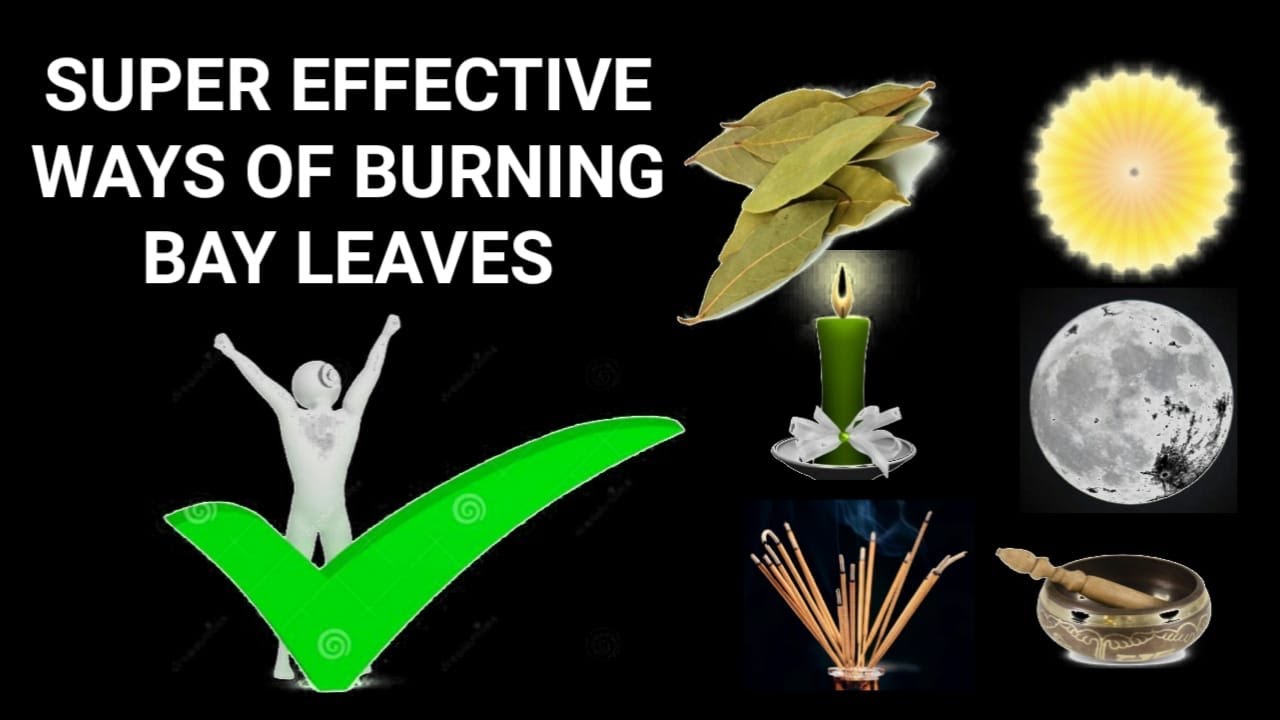 100% EPEKTIBONG PAMAMARAAN SA PAGSUNOG AT PAGHILING SA DAHON NG LAUREL ...