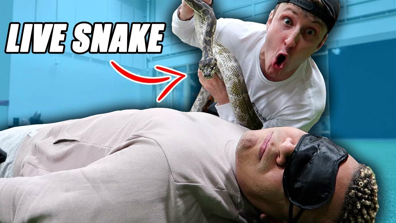 CRAZY WHAT'S ON MY BODY CHALLENGE ft. WOLFIE **LIVE ANIMALS** - YouTube