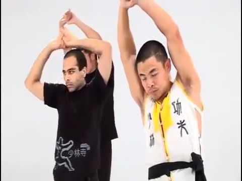 Shaolin Kung Fu 02