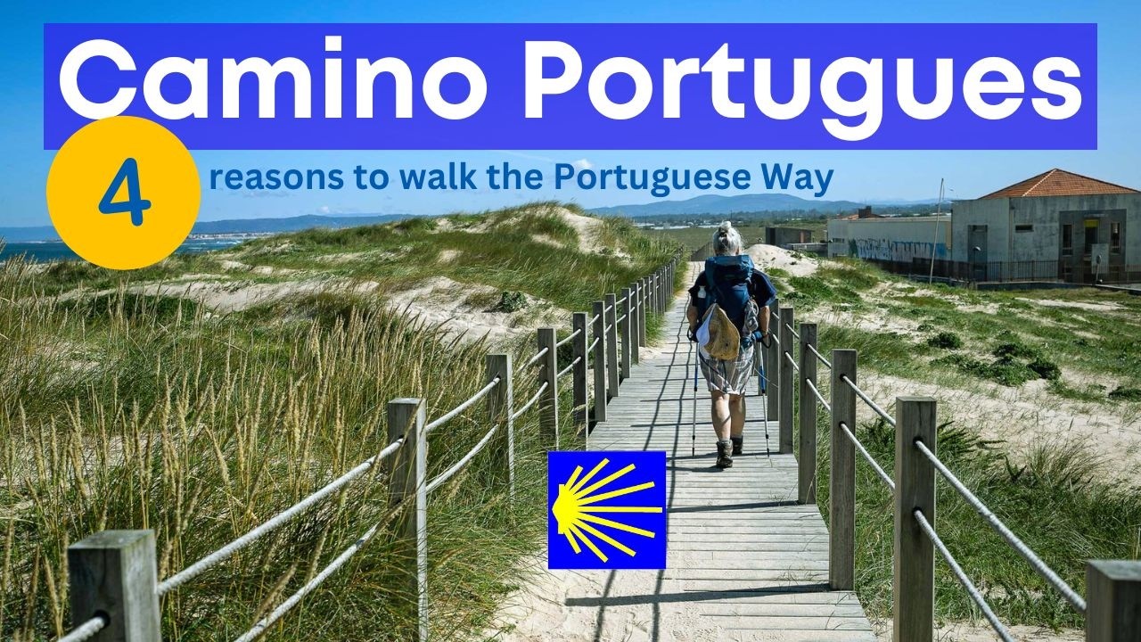 Camino Portugues: 4 Reasons to walk the Portuguese Way from Porto to ...