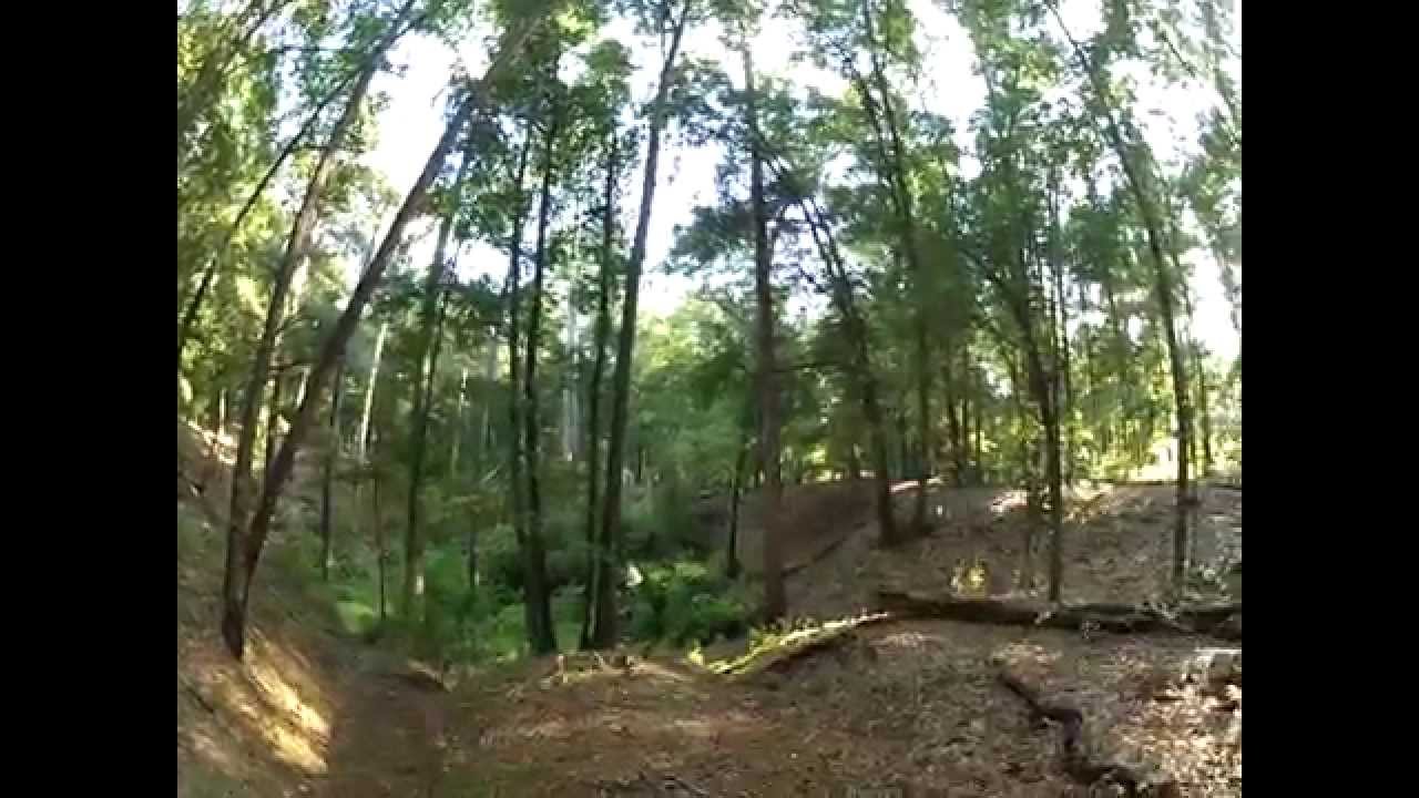 Old Mine Site in Croom at Withlacoochee State Forest - YouTube