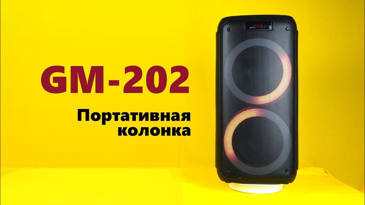 Обзор Портативной Midi-системы Ginzzu GM-202 - YouTube