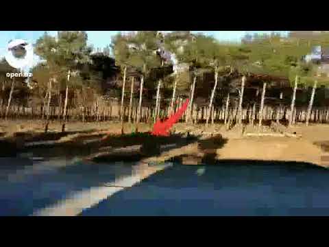 Qobustan-Şamaxı yolunda ağacları kəsdilər