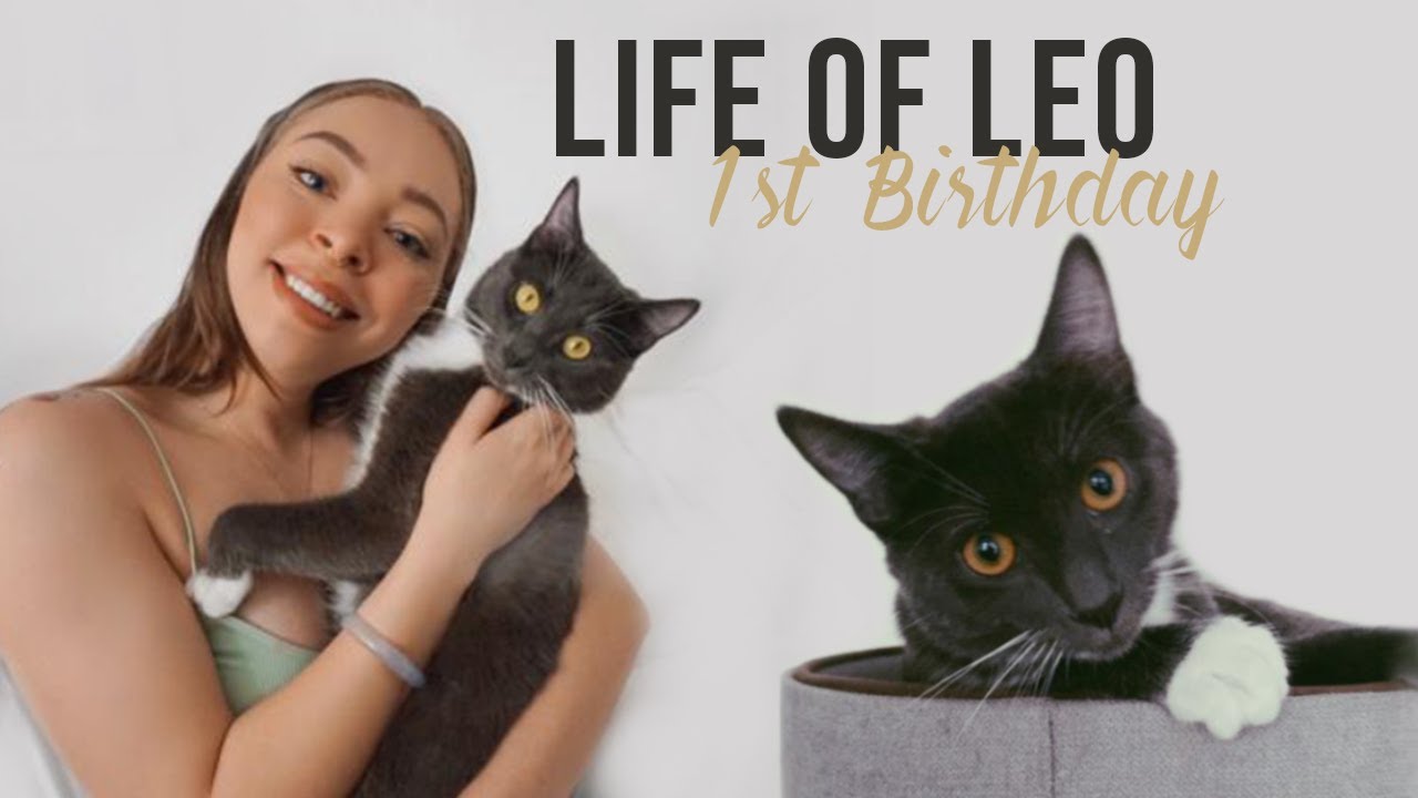 LIFE OF LEO, 1ST BIRTHDAY | ITSMAKAYYY - YouTube