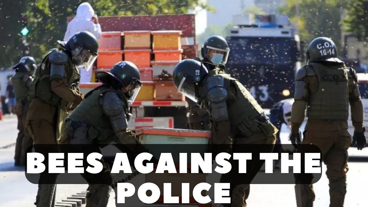 Bees against the police on protests - YouTube