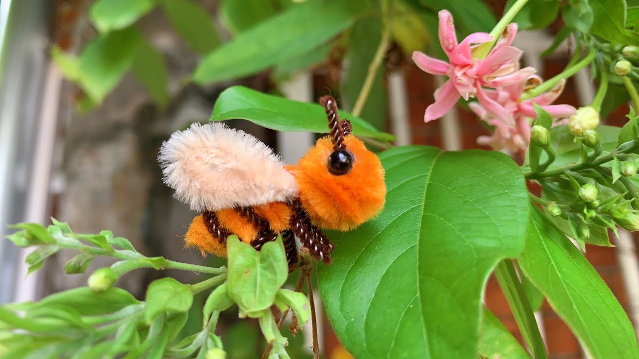 ABC TV | How To Make A Bee With Pipe Cleaner - Craft Tutorial - YouTube