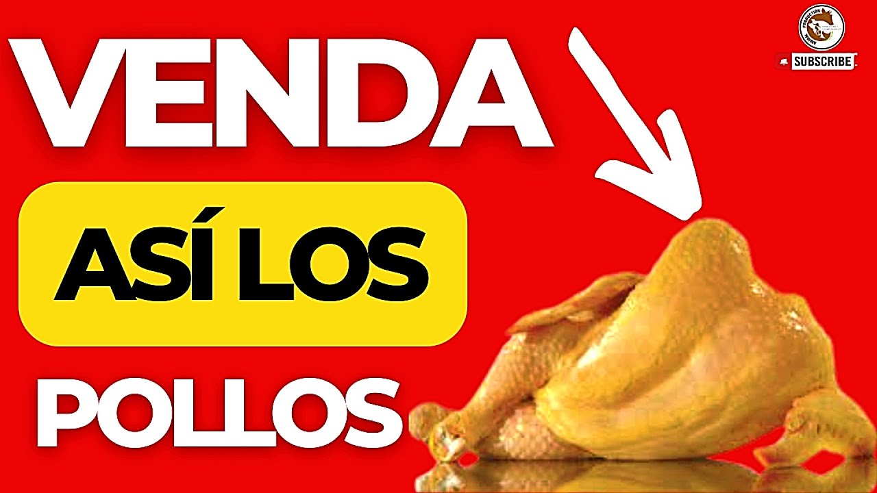 🛒CÓMO SE COMERCIALIZA EL POLLO DE ENGORDE🐔, Y SAQUE POLLOS EN 25 DÍAS ...