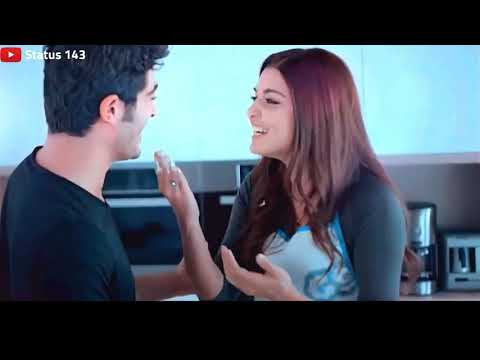 Hayat and Murat whatsapp status video