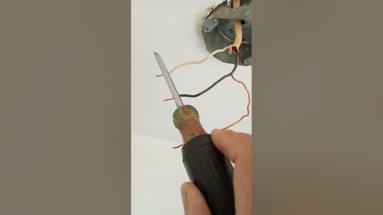 How To Use Screwdriver To Check For Live Voltage After You Have how-to-use-screwdriver-to-check-for-live-voltage-after-you-have