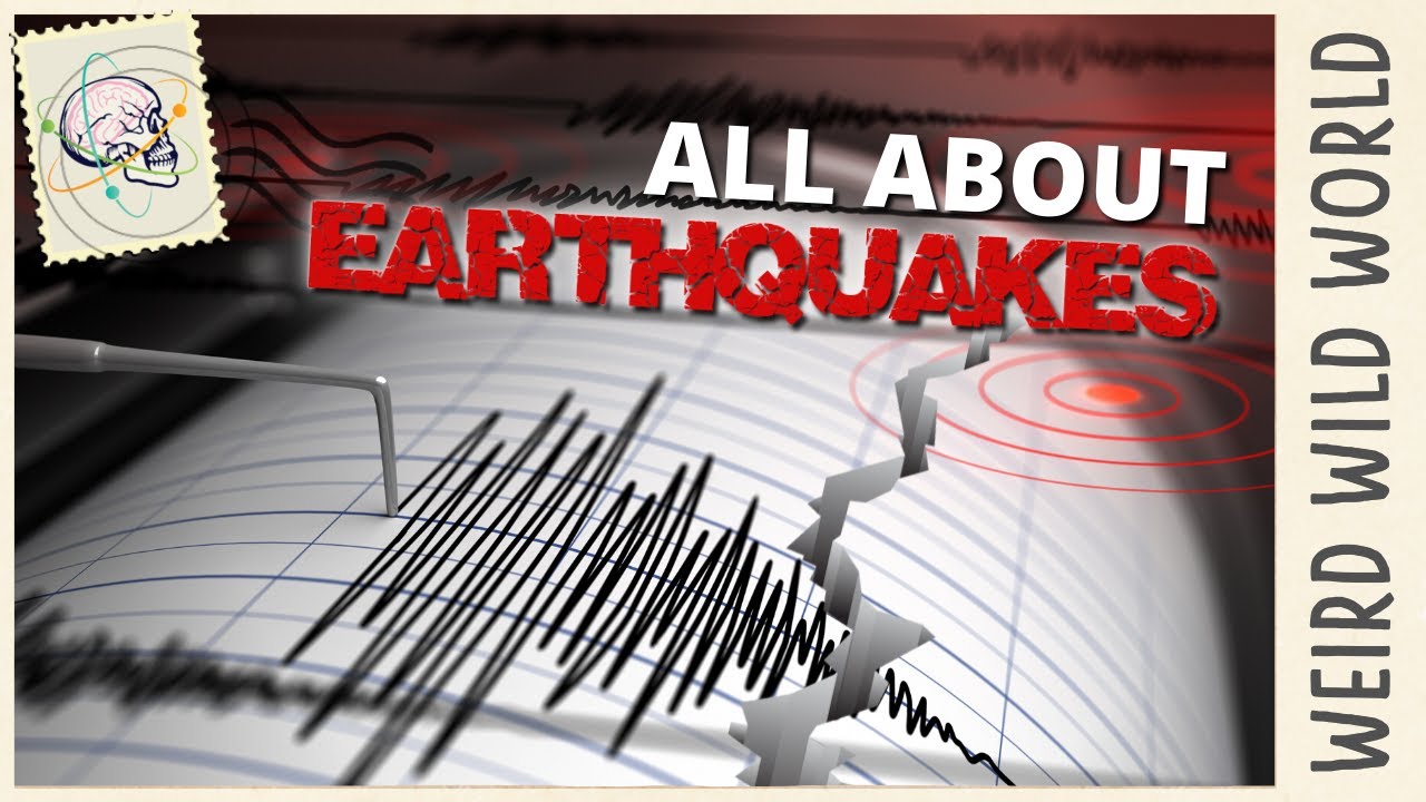 Earth-Shaking Facts About EARTHQUAKES | Weird Wild World - YouTube