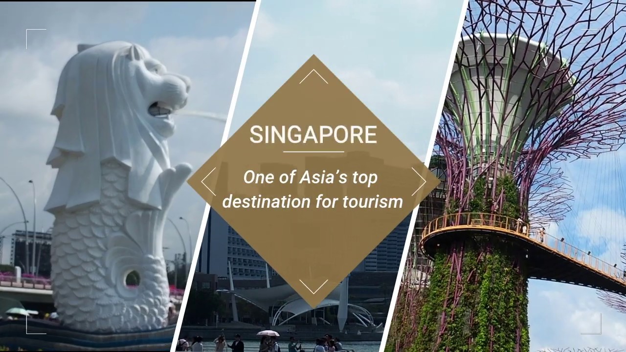 Why study Aviation and Travel Operations with SDH Institute Singapore ...