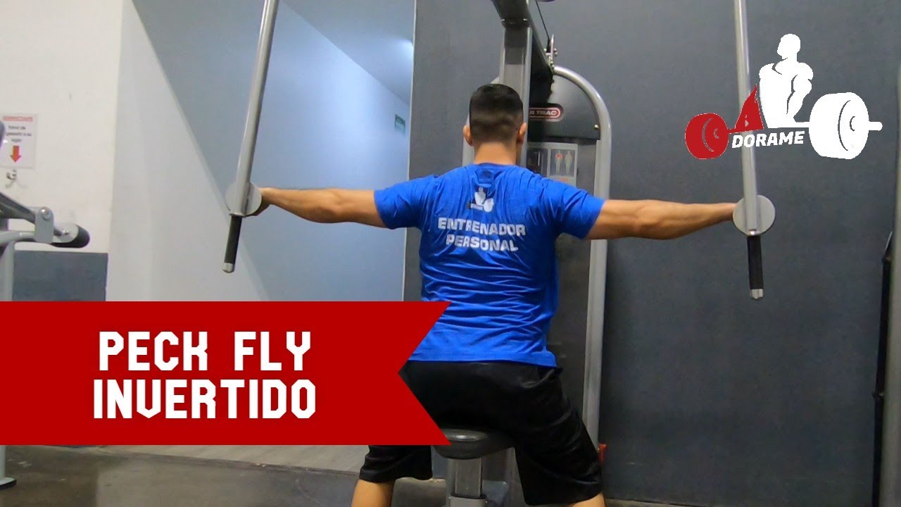 PECK FLY INVERTIDO - YouTube