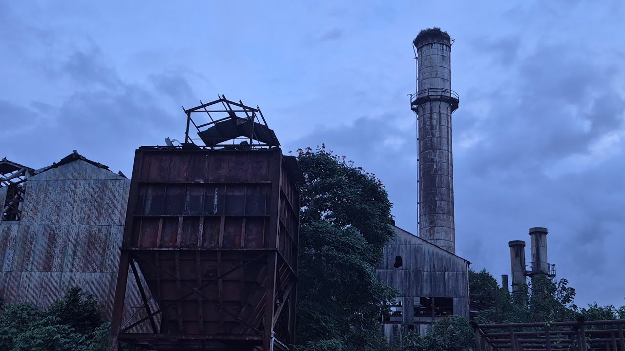Las Ruinas de la Central Coloso hoy día. Murciélagos Gigantes viviendo ...