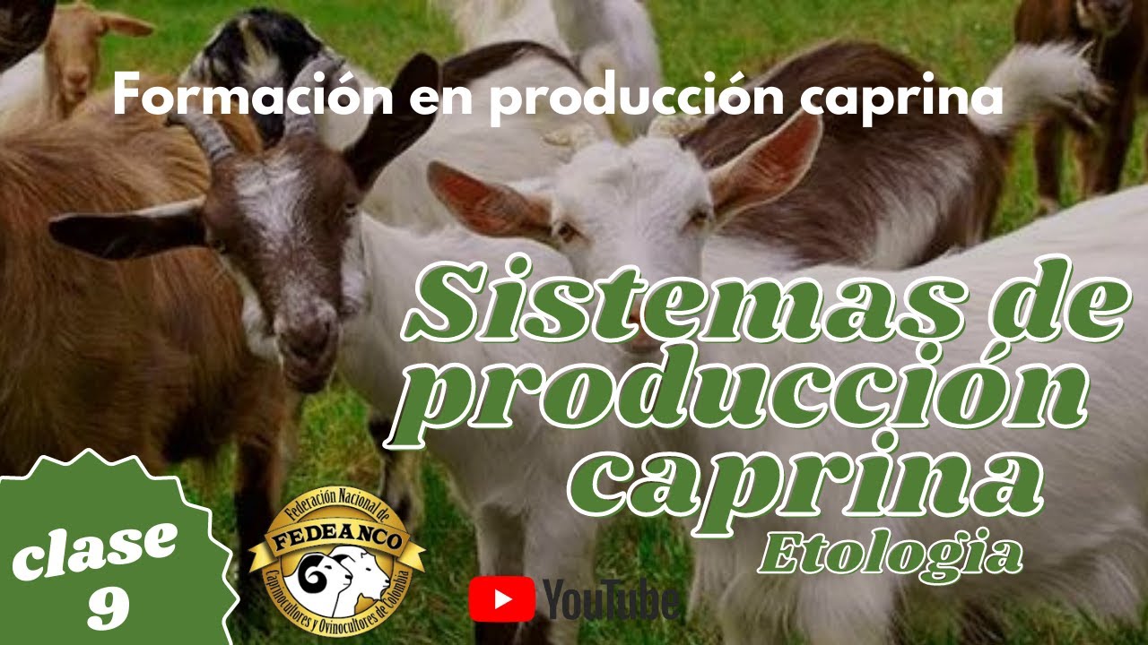 PRODUCCIÓN CAPRINA- SISTEMAS - Clase #9 - YouTube