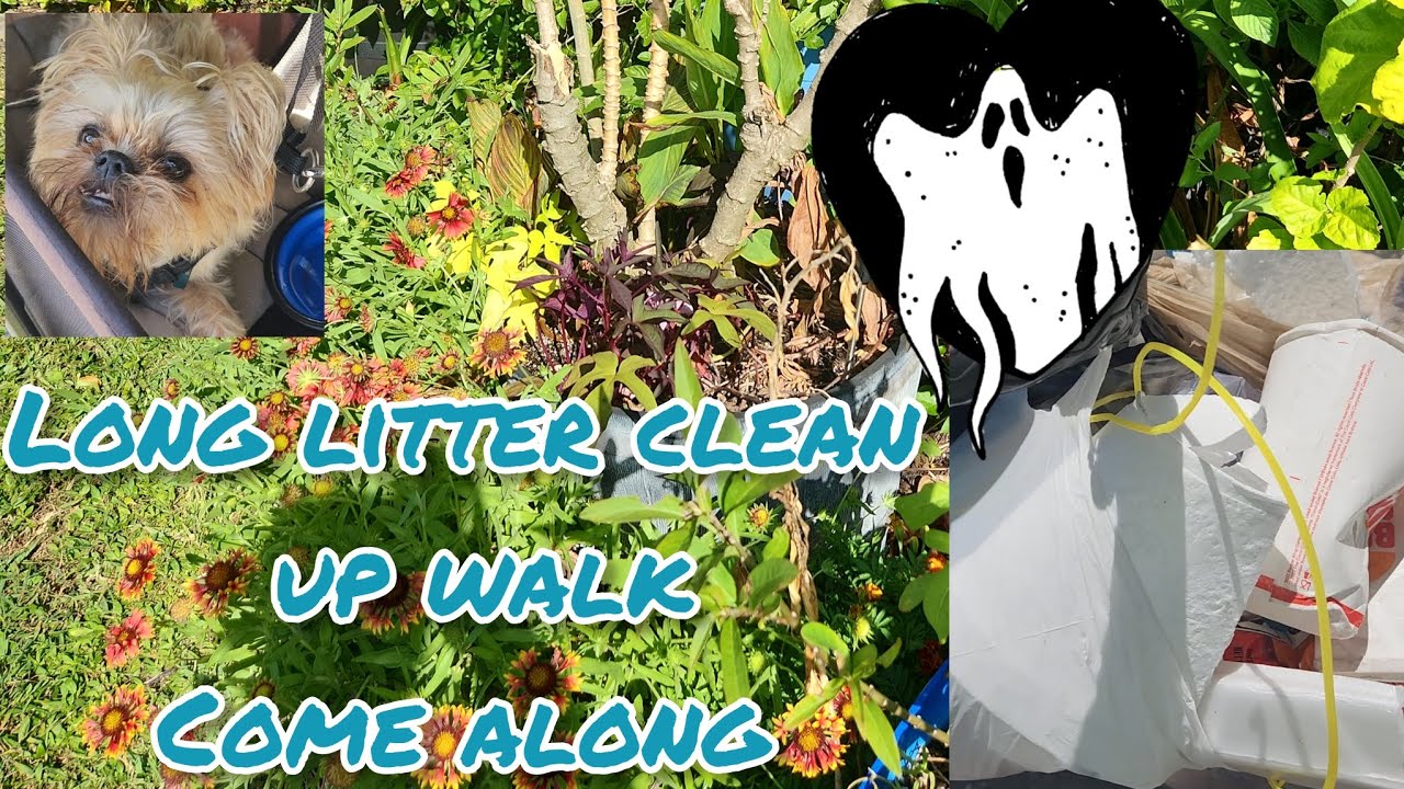 New camera second walk with me trash clean up with 🎵 music & chewy 🐶 ...