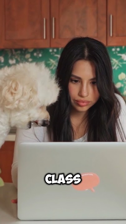 How To Use Classes In Python Fast And Fun😍 Python Learntocode Oop Pythonbeginners Shorts