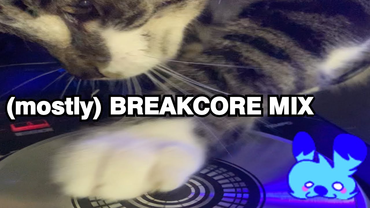 FW! 🐾 phmLs FIRST (mostly) BREAKCORE MIX 🌈 - YouTube