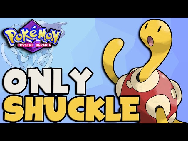 What Is The Point Of Shuckle