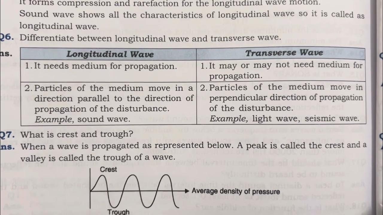 Differentiate between longitudinal wave and transverse wave.class 9 sounds - YouTube