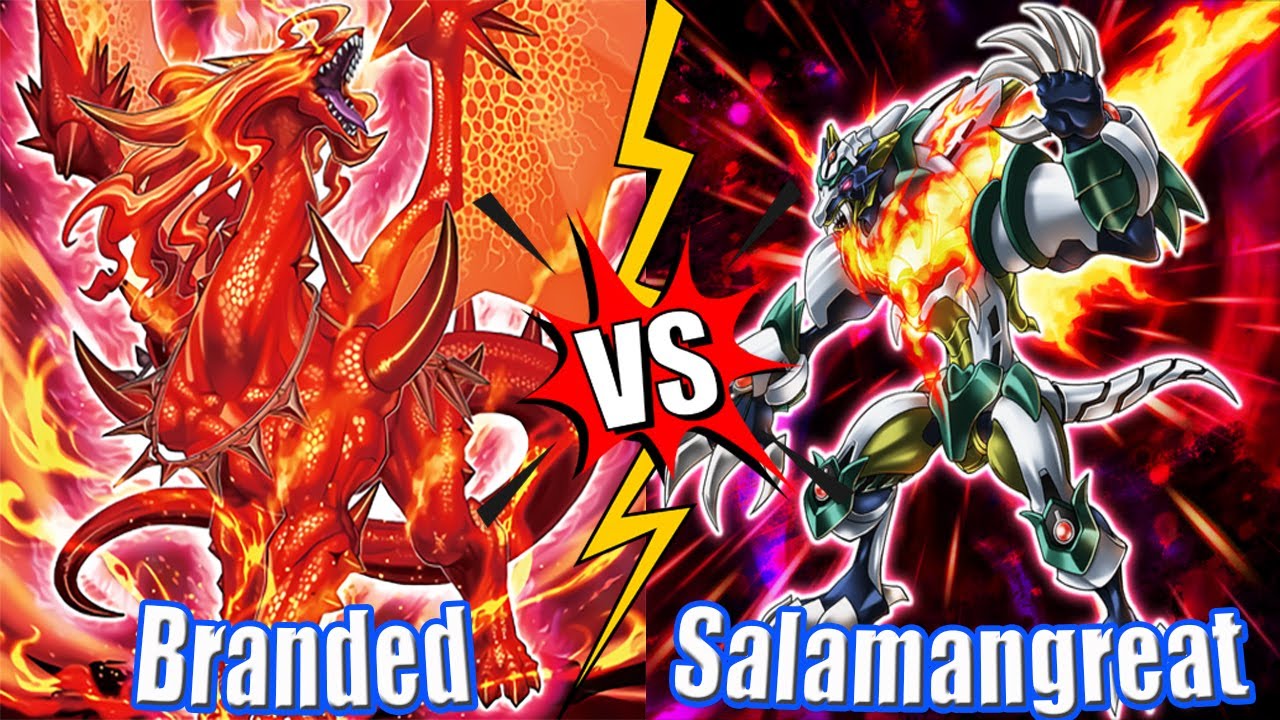 Branded Dragon vs Salamangreat - High Rated DB Yu-Gi-Oh! 2024 - YouTube