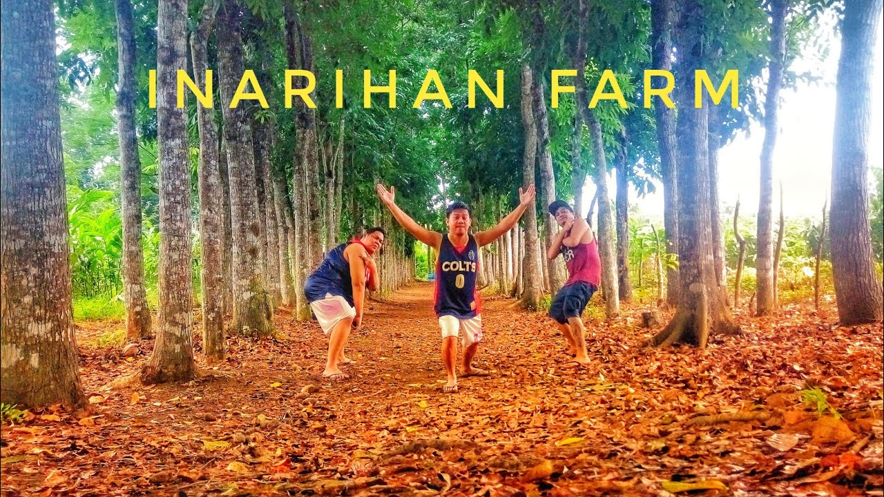 INARIHAN FARM (naga city) - YouTube