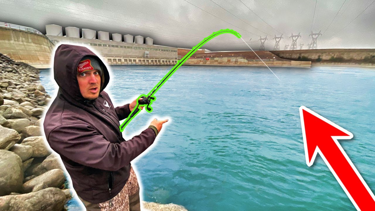 Thousands of STARVING Fish Migrate to this MASSIVE Spillway for Winter ...