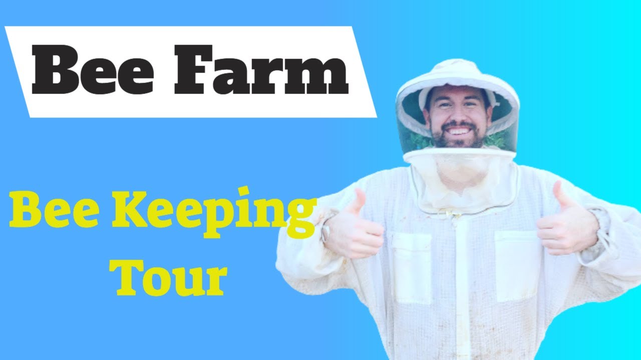 Bee Farm - Bee Keeping Tour - YouTube
