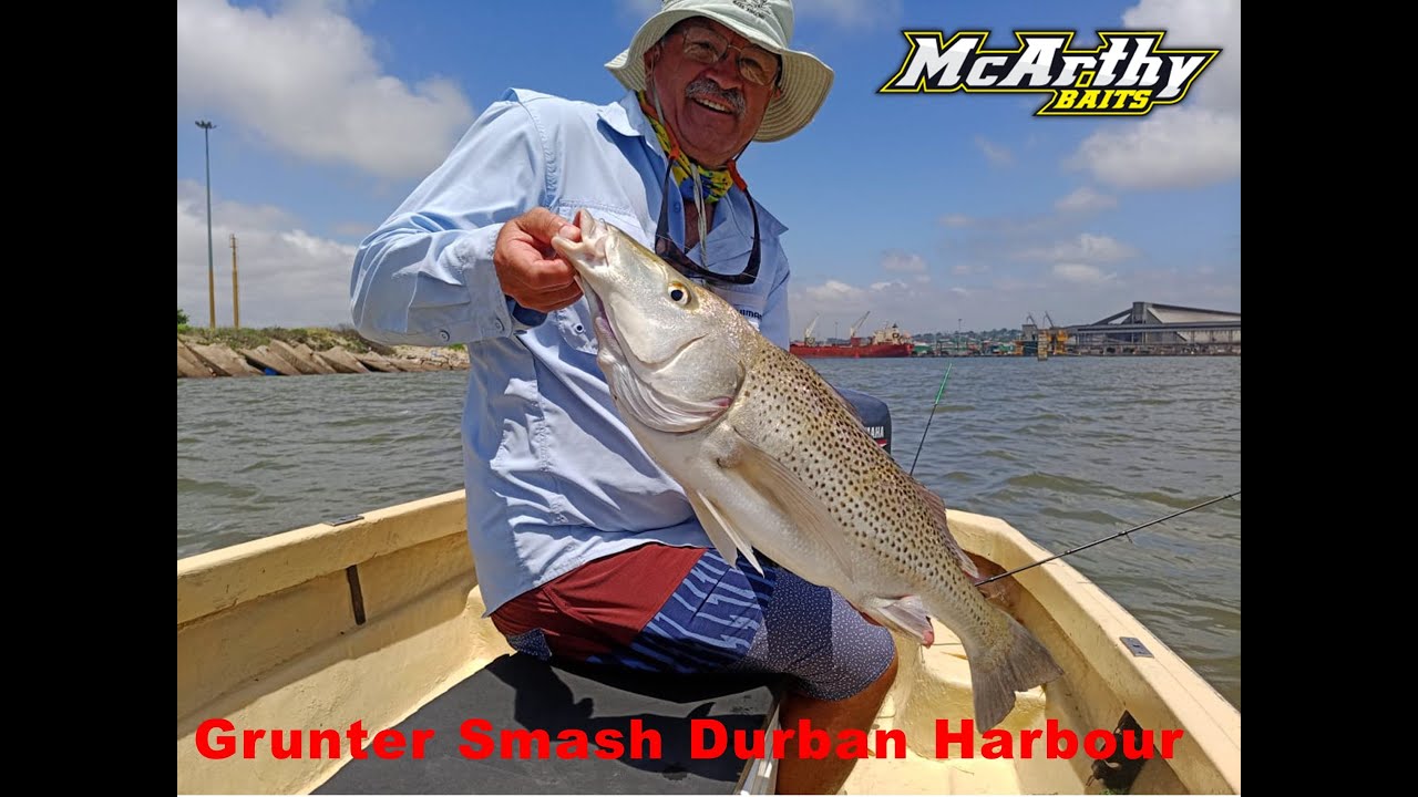 GRUNTER Hunting Durban Harbour - YouTube