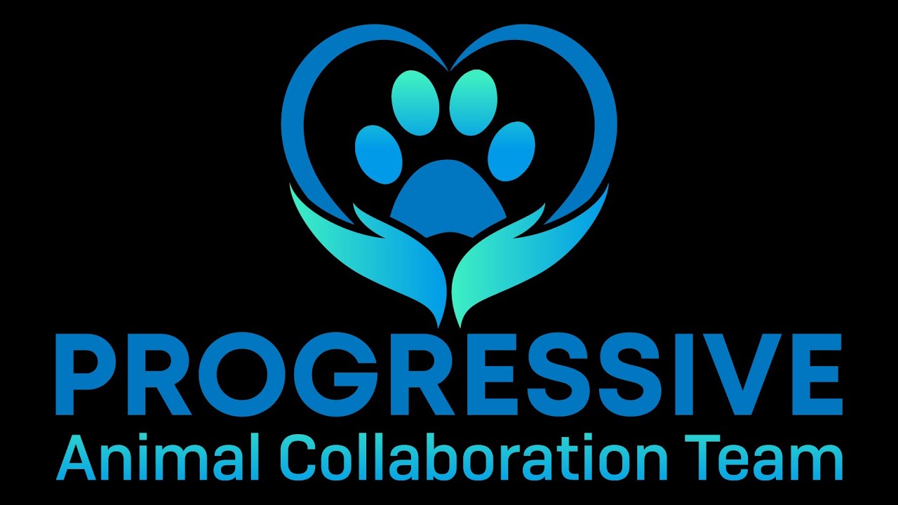 Progressive Animal Collaboration Team - YouTube