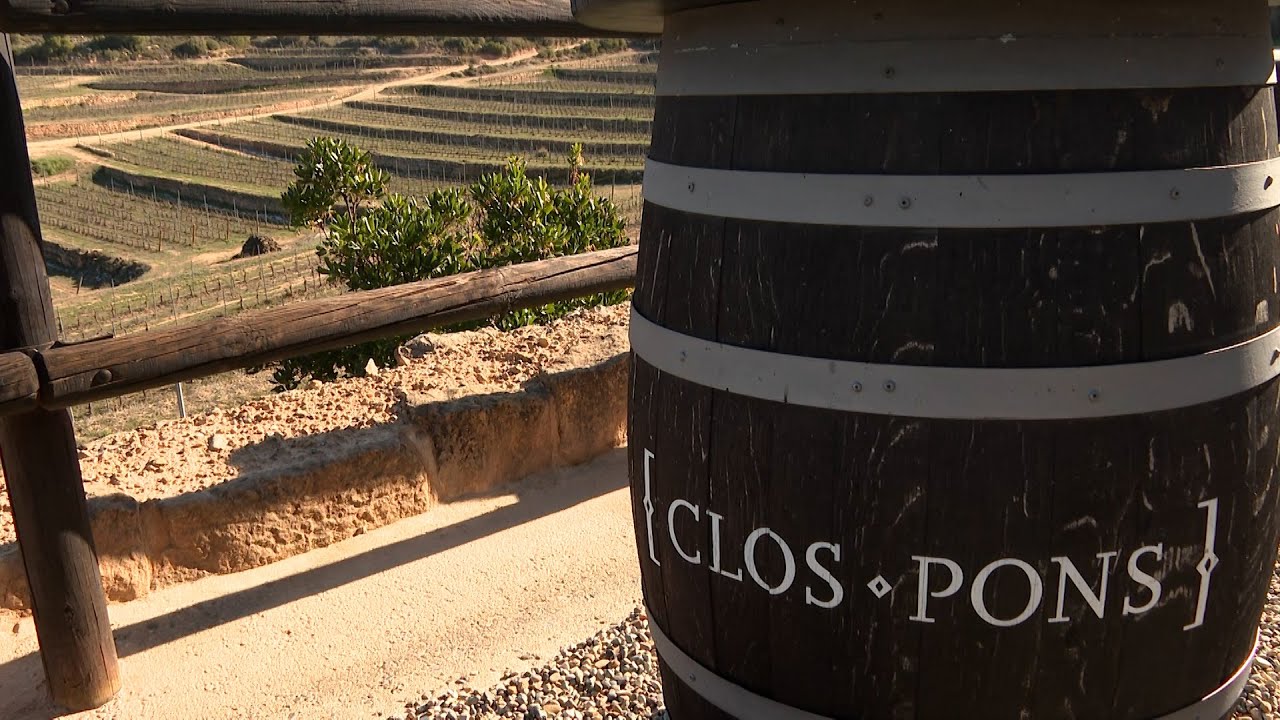 Grup Pons se convierte en la Pyme del Año en Lleida - YouTube