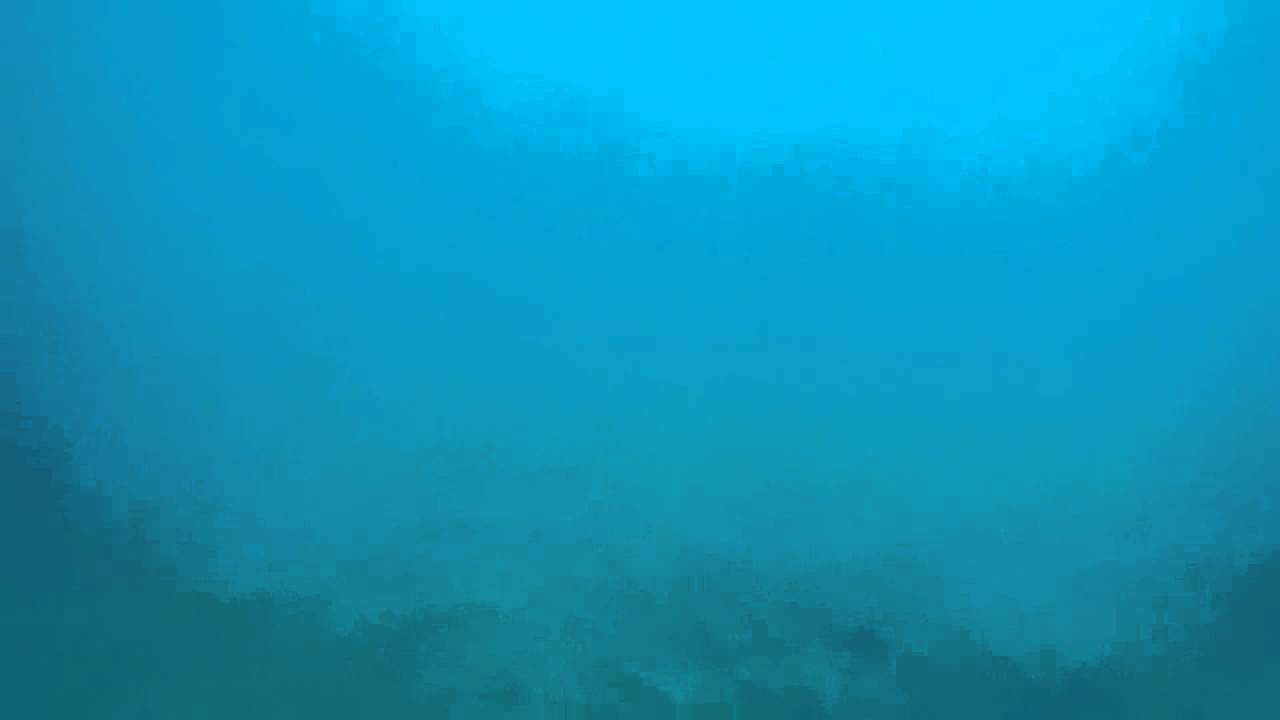 Puffer Fish Chase down set to Humpback Whales Singing Maui Hawaii - YouTube