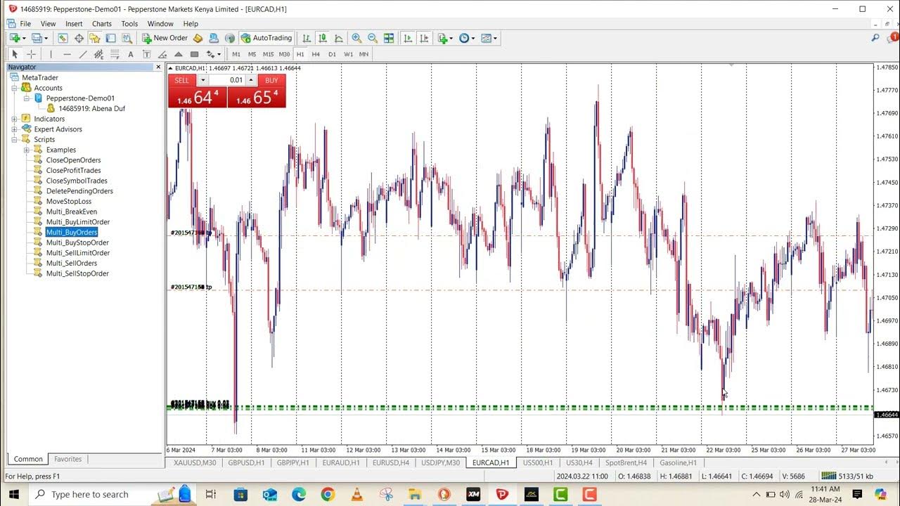 Forex Trading How To Execute Multiple Buy And Sell Orders With A