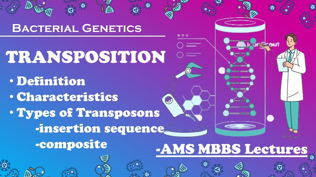 Transposition| Types of Transposons| Bacterial Genetics| AMS ...