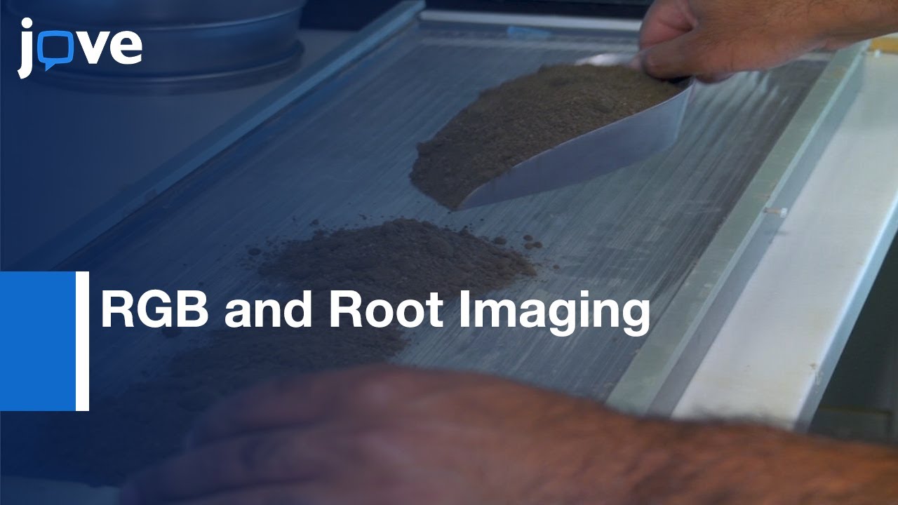 RGB and Root Imaging for Plant Phenotyping and Physiological Research ...