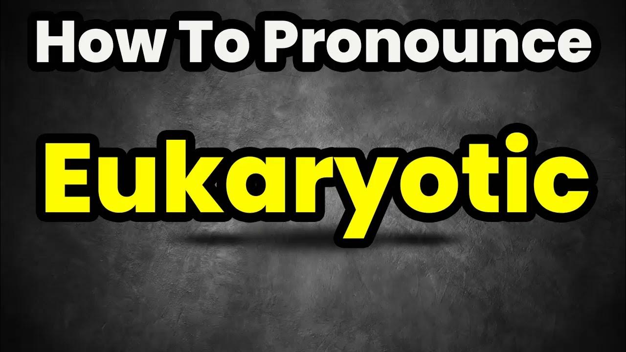 How To Pronounce Eukaryotic? (CORRECTLY) Meaning & Pronunciation - YouTube How To Pronounce Eukaryotic? (CORRECTLY) Meaning & Pronunciation - YouTube