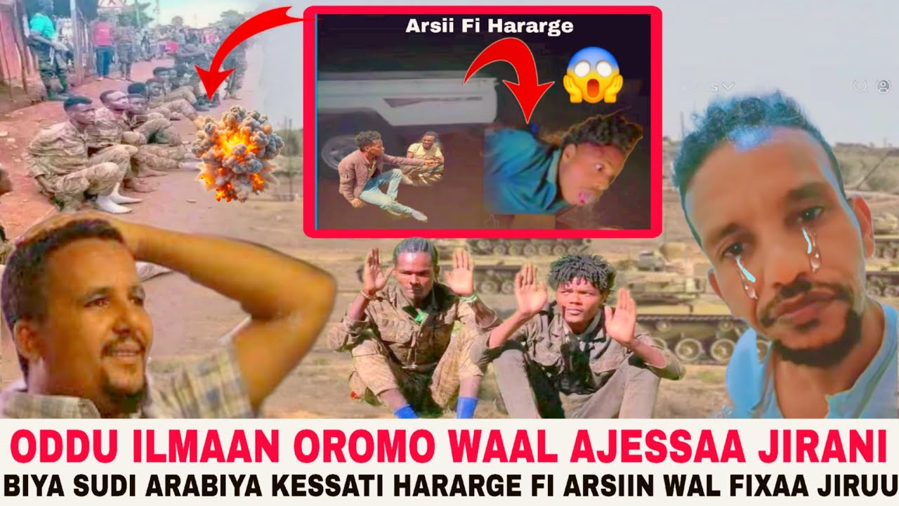 ODDU GADDAA ILMAAN OROMO KUTAN WAL QOQODANI WAL FIXA JIRU ARSII FI ...