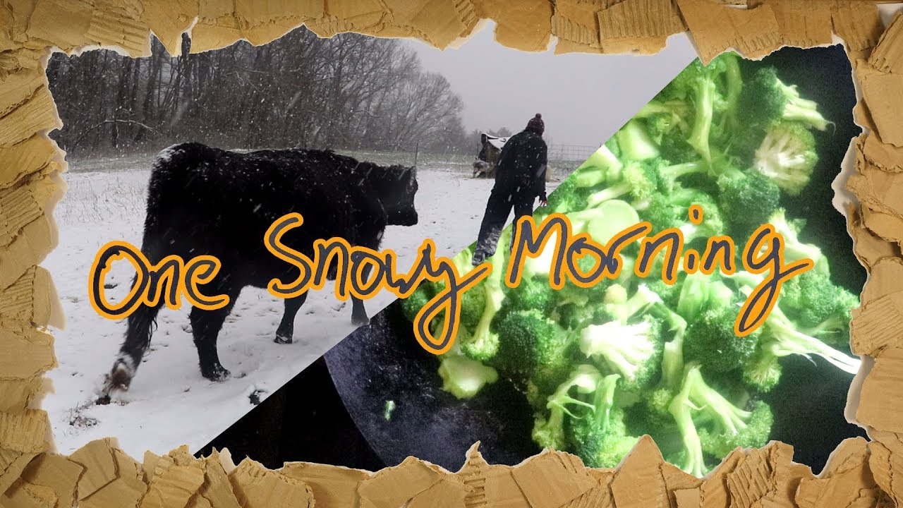 Lunch on a Snowy Day | Acorn - YouTube