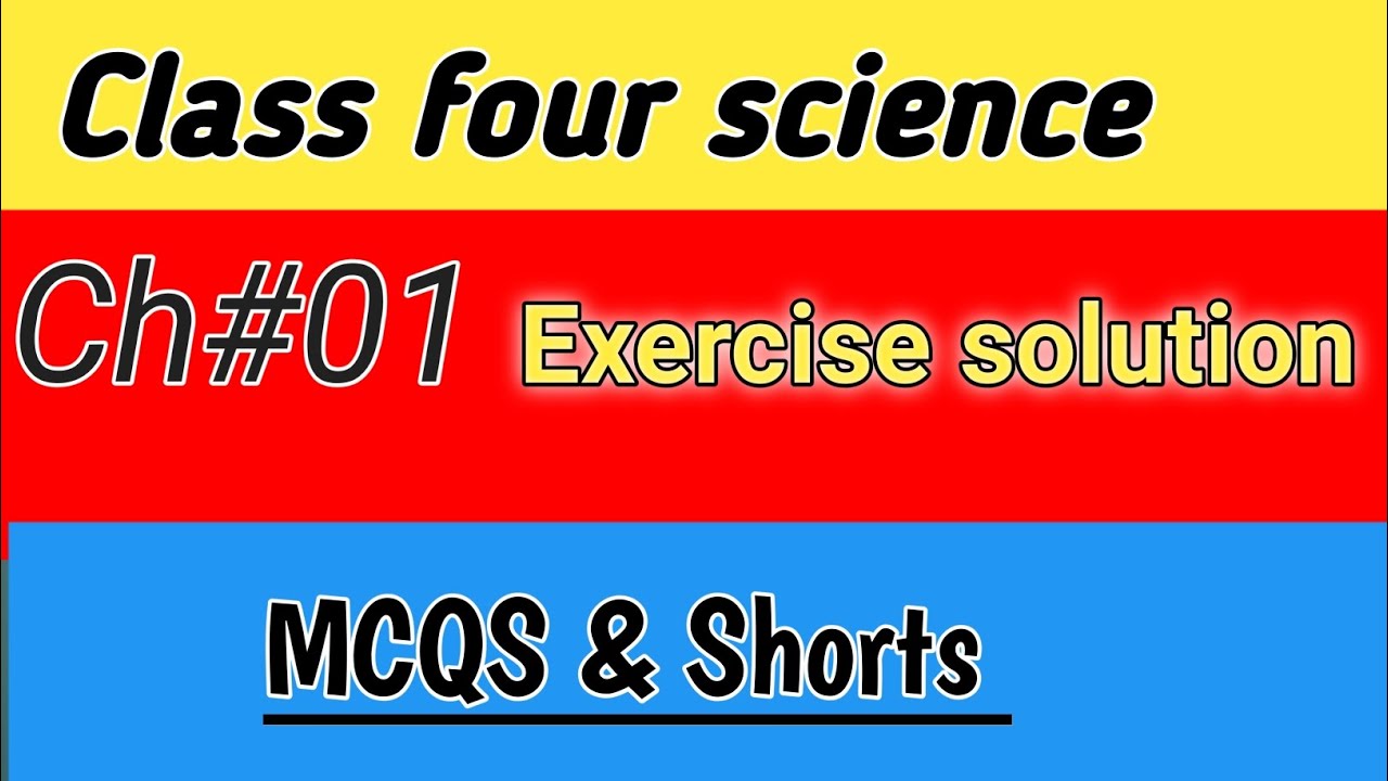 Class four science|chapter 1|Exercise solutio - YouTube