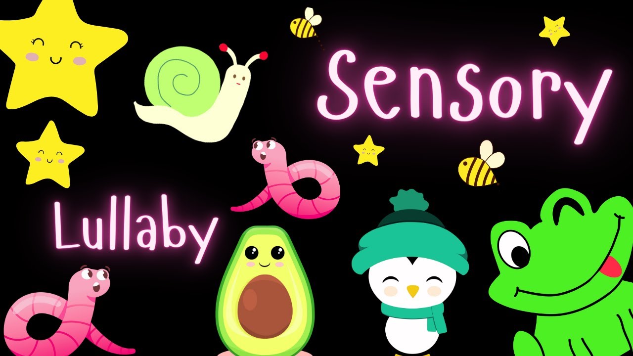 Animal Dreams and Starry Nights: Sensory Lullaby for Toddlers 🐻⭐ ...