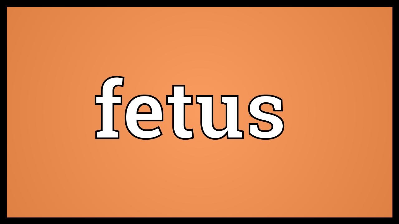 Fetus Meaning YouTube Fetus Meaning YouTube