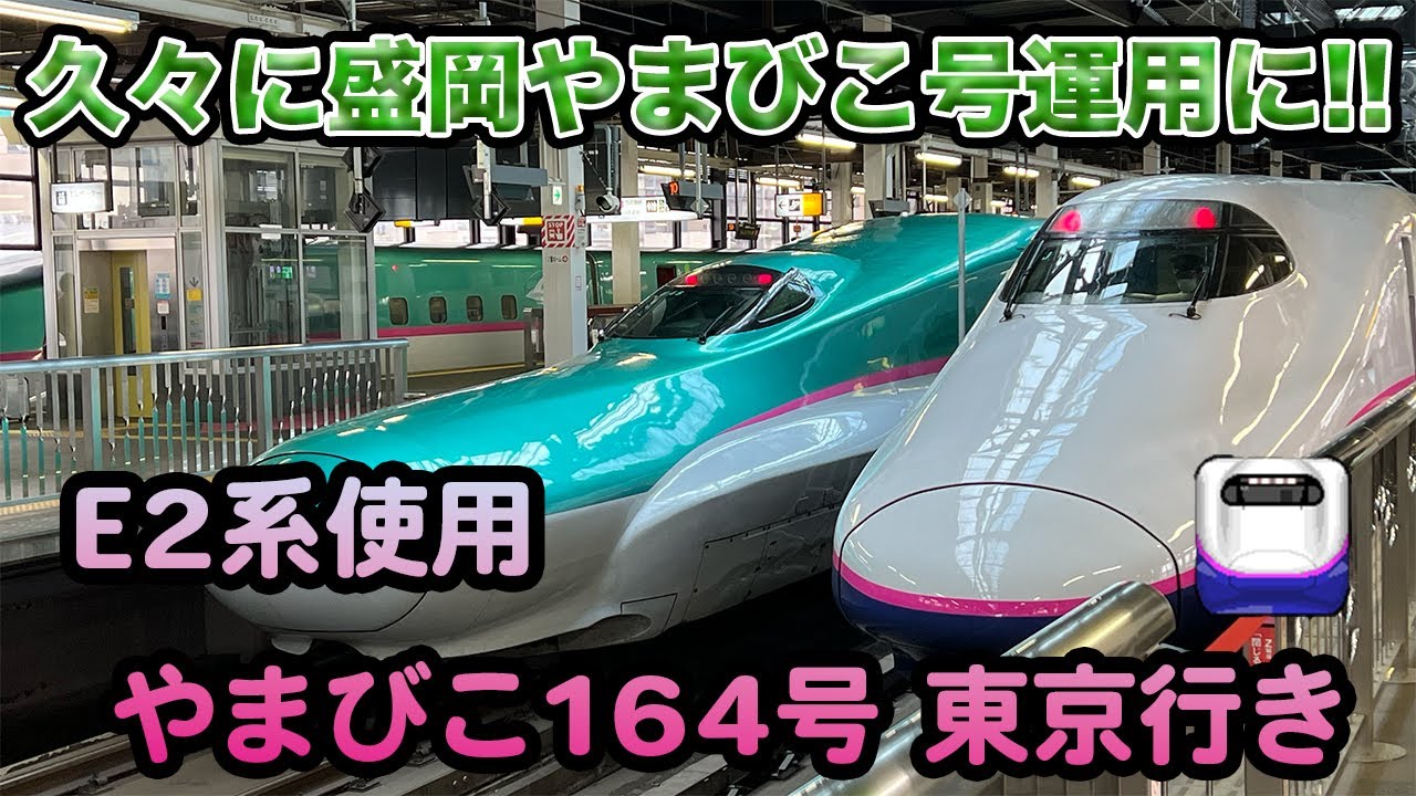 【久々に盛岡入線!!】E2系 やまびこ164号東京行き 車窓 - YouTube