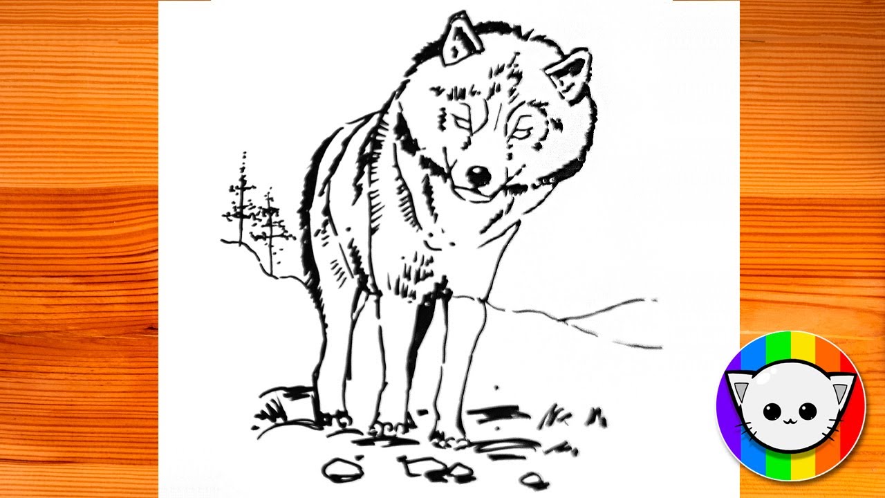 How to draw a Wolf step by step || Easy drawing beginners - YouTube