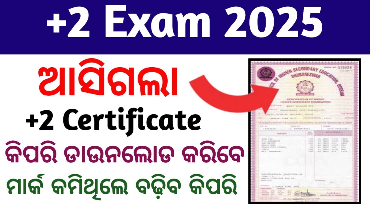 Odisha Plus Two Digital Certificate Download 2025 | +2 Result 2025 | +2 ...