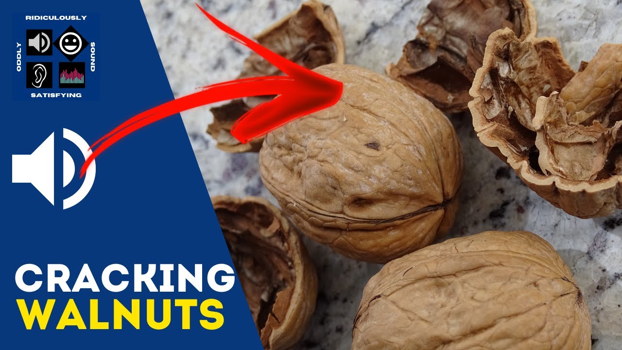 Oddly Satisfying Cracking Walnut Sound. asmr cracking walnuts - YouTube